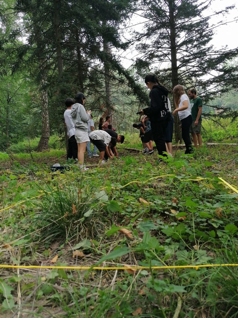 Vögel hautnah – eine ökologische Exkursion in den Rombergpark ...